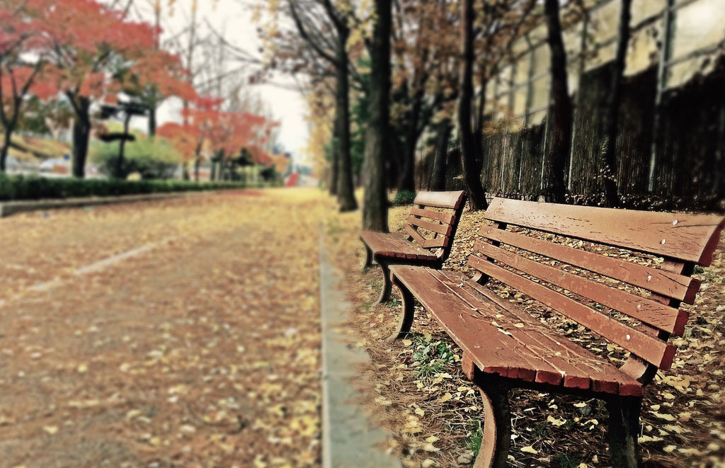 4 Ways To Improve Campus Security