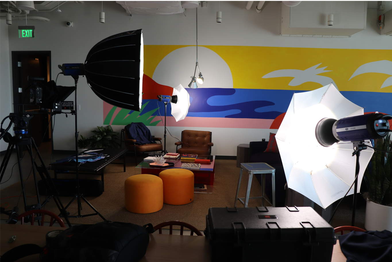 5 Tips For Taking and Displaying Your ID Picture – SpecialistID.com